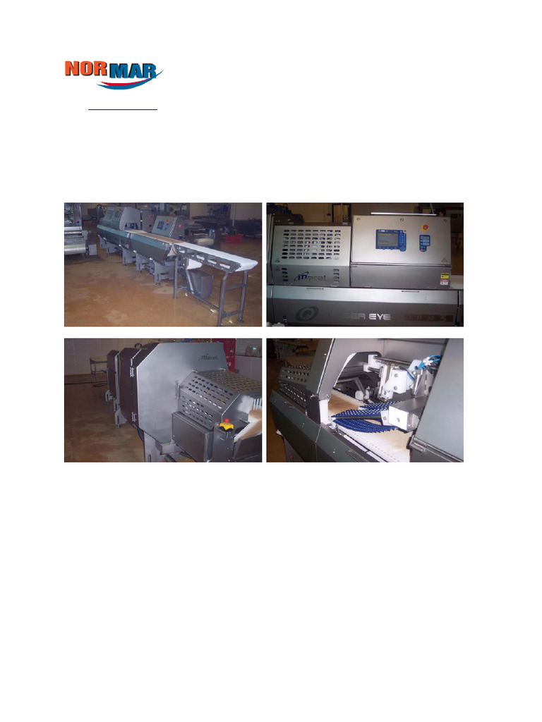 Marel Ipm3 X300 | PDF | Electrical Engineering