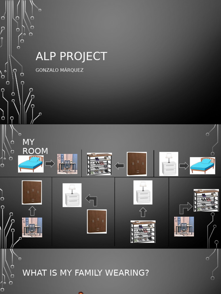 Alp Project | PDF