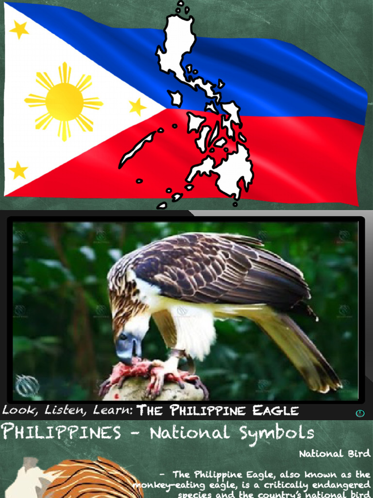 The Philippines - National Symbols I | PDF