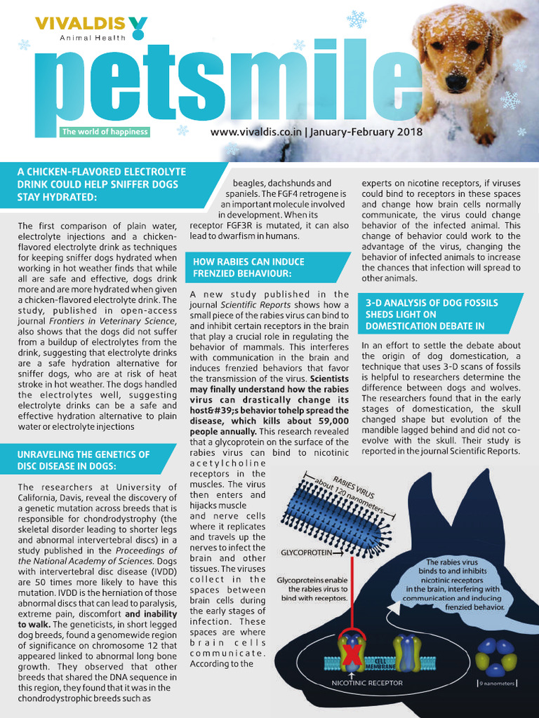 Petzyme Feb 2018 | PDF