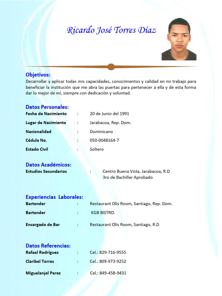 Curriculum Ricardo Torres | PDF