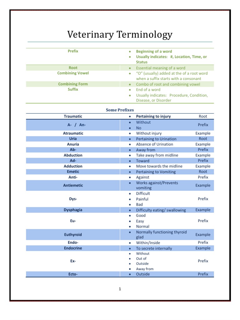 Veternary Terminology | Download Free PDF | Anatomical Terms Of ...