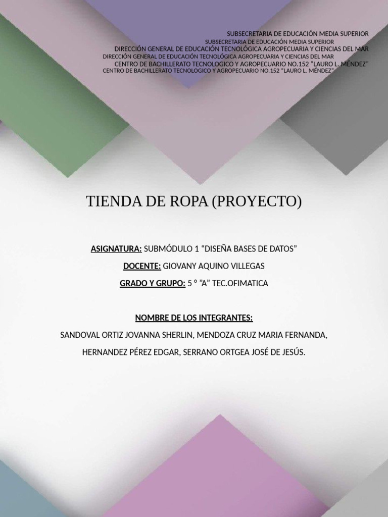 Proyecto (Tienda de Ropa) | PDF | Marketing | Economias