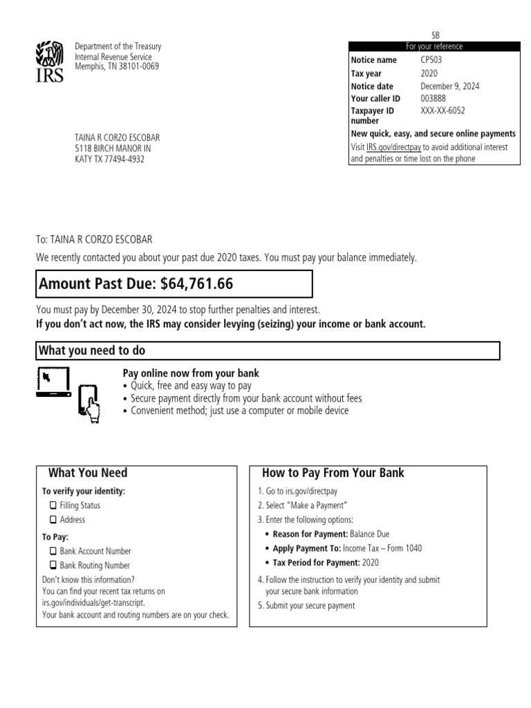 Balance IRS | PDF | Internal Revenue Service | Cheque