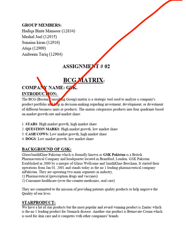 BCG_MATRIX_TECHNO_ | PDF | Business Economics | Business