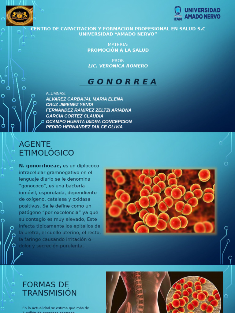 Gonorrea | PDF | Especialidades Medicas | Enfermedades y trastornos