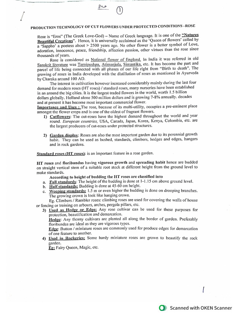 Rose | PDF