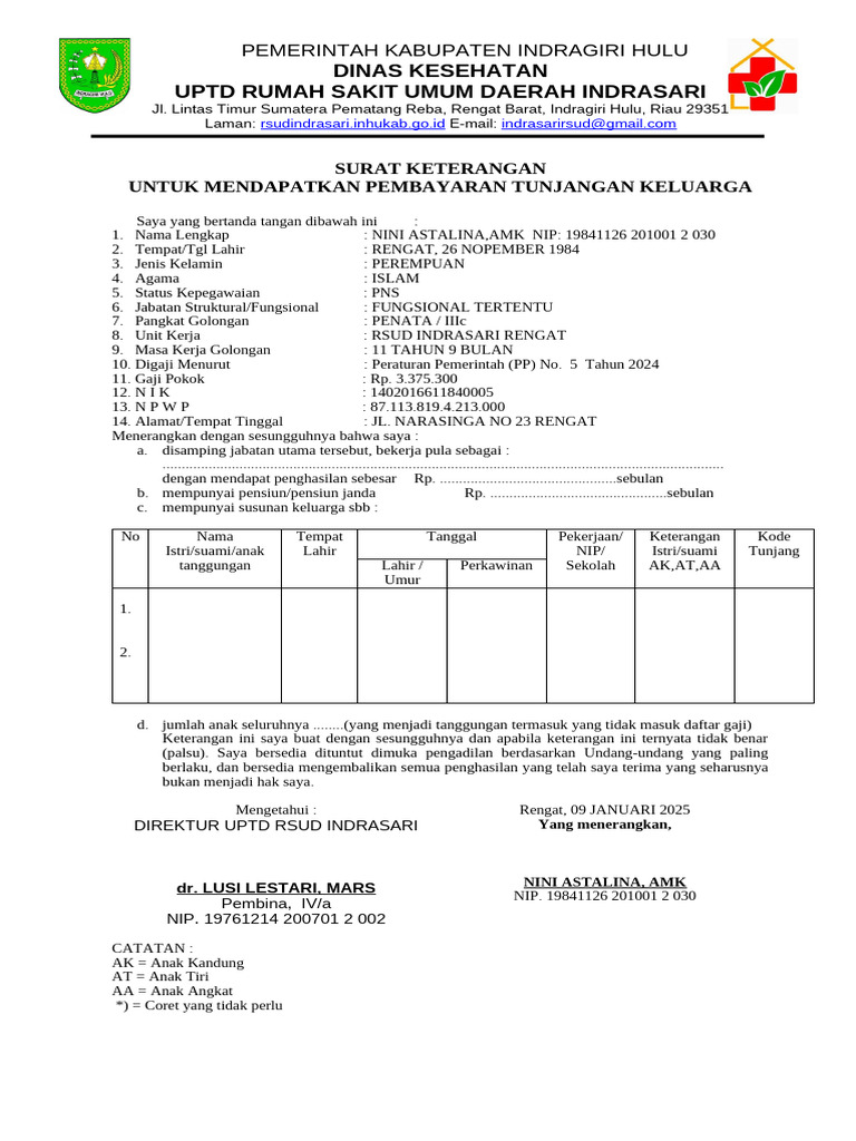 FORMAT MODEL C NINI 2025 | PDF