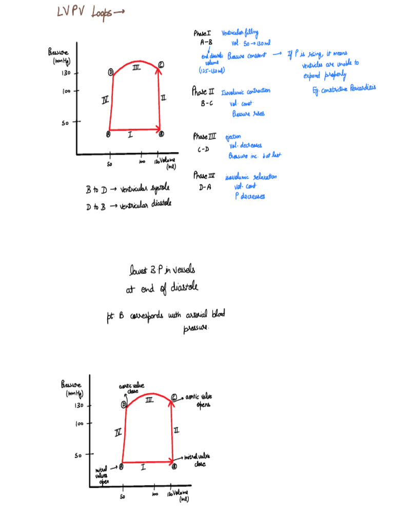 LV PV Loops | PDF