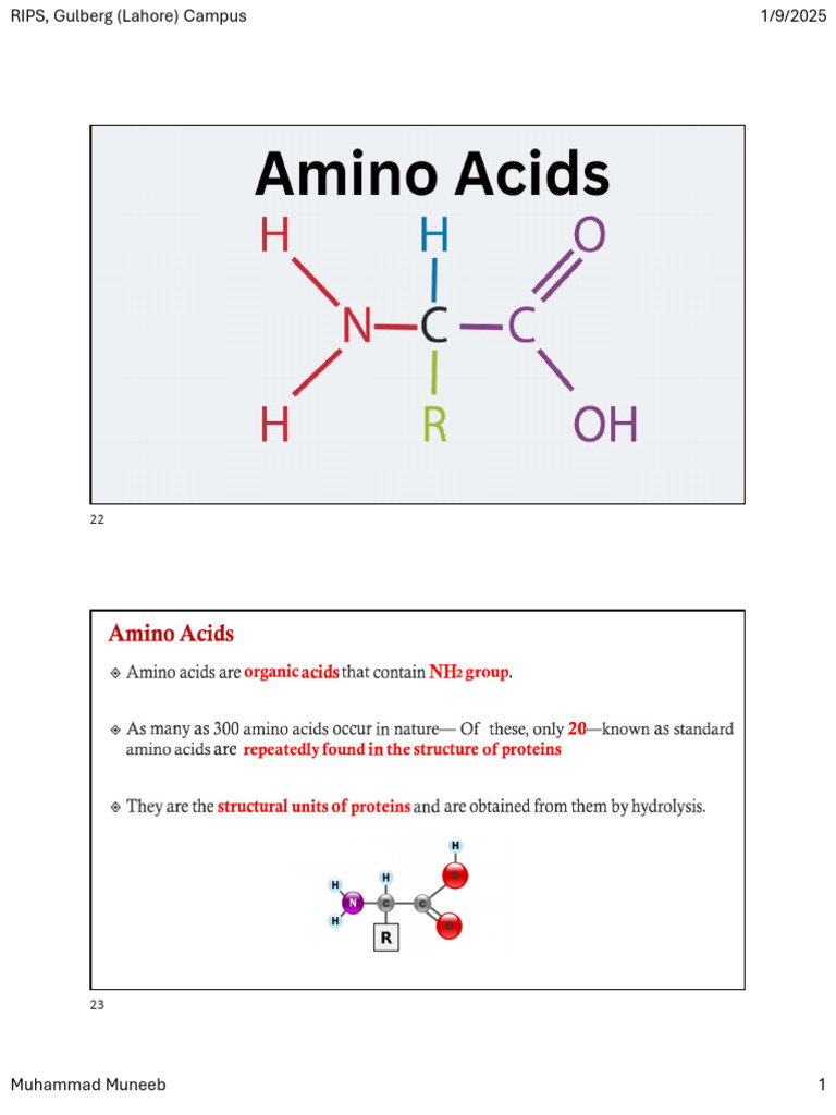 Amino Acids 1 | PDF