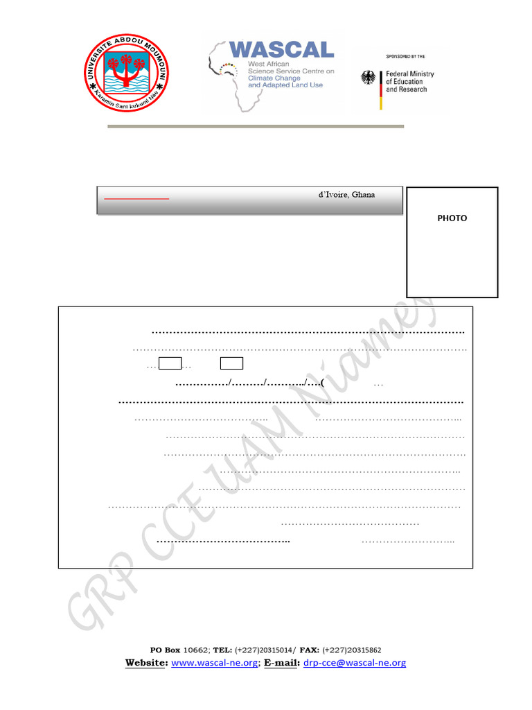 DRP CCE - Application Form 2025 NIGER | PDF | West Africa