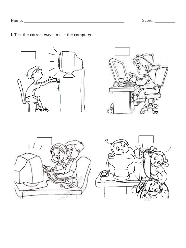 P1_Dos & Don'ts Computer | PDF