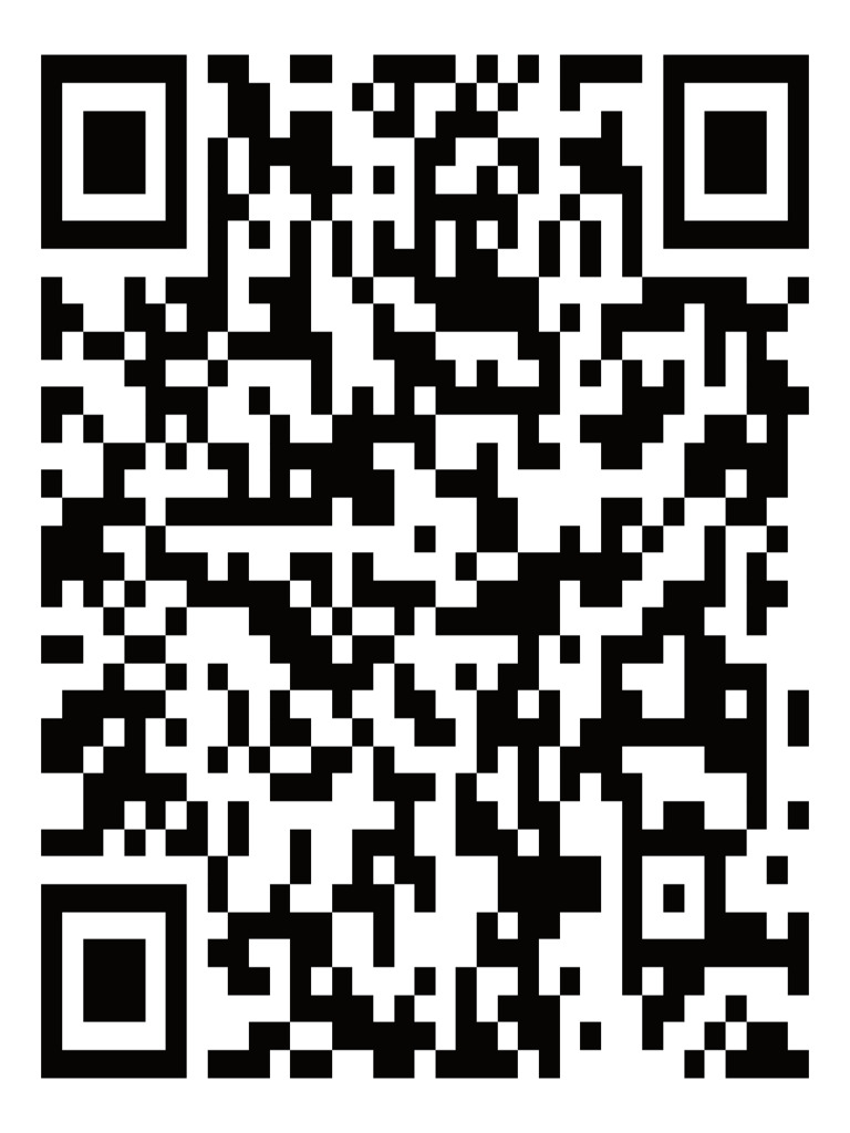 Ig PDF QR Code | PDF