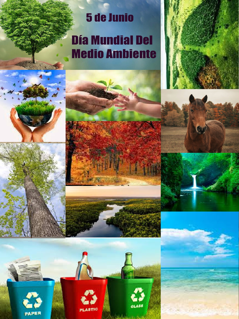 Evidencia GA2-240202501-AA2-EV02. Audio. (Collage) | PDF