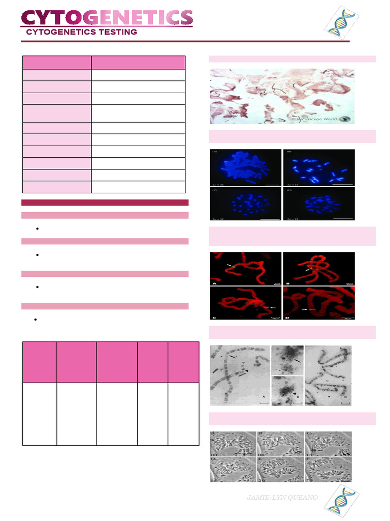 Semis-Cytogenetics Testing | PDF | Fluorescence In Situ Hybridization ...