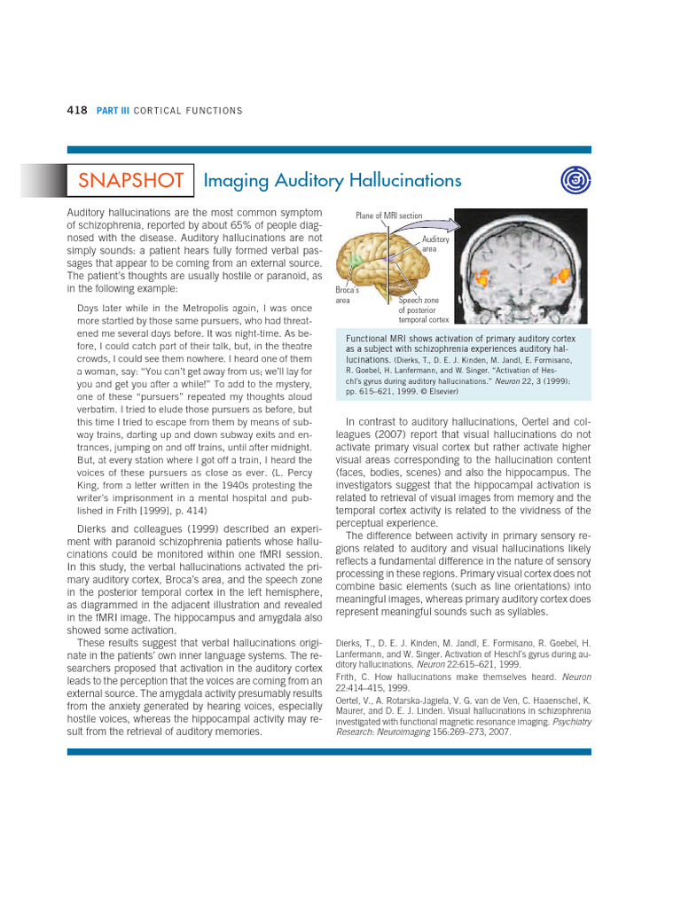 auditory hallucination | PDF | Hallucination | Temporal Lobe