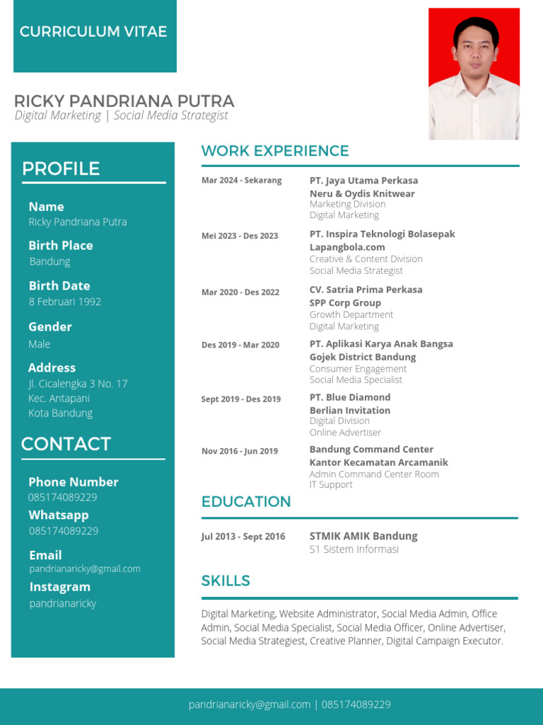 CV DM11 | PDF | Facebook | World Wide Web