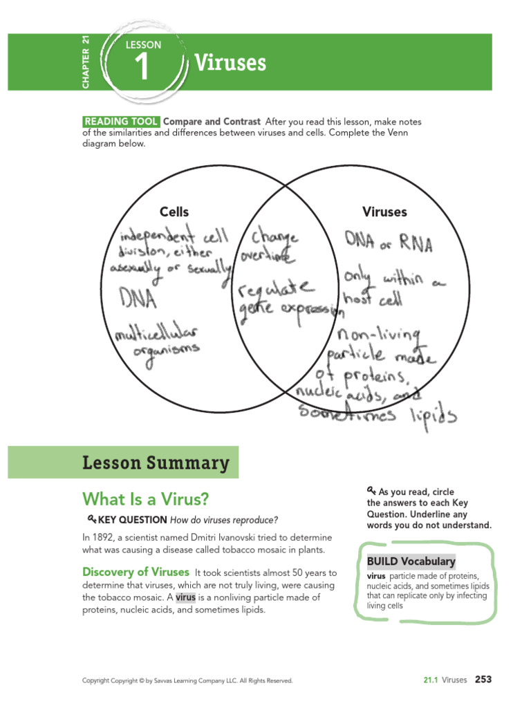 Viruses: Living | PDF | Virus | Bacteriophage