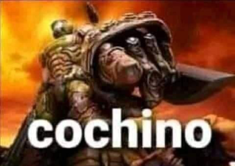 PDFReader 20250110 0125 | PDF