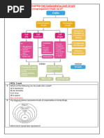 Class 9 Cell Biology MCQs Worksheet | PDF | Cell (Biology) | Cytoplasm