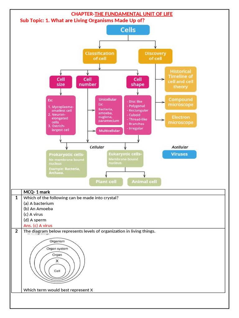 CL-IX-BIOLOGY MS TERM-1 QUESTION BOOKLET-2024-25 | PDF | Osmosis | Cell (Biology)