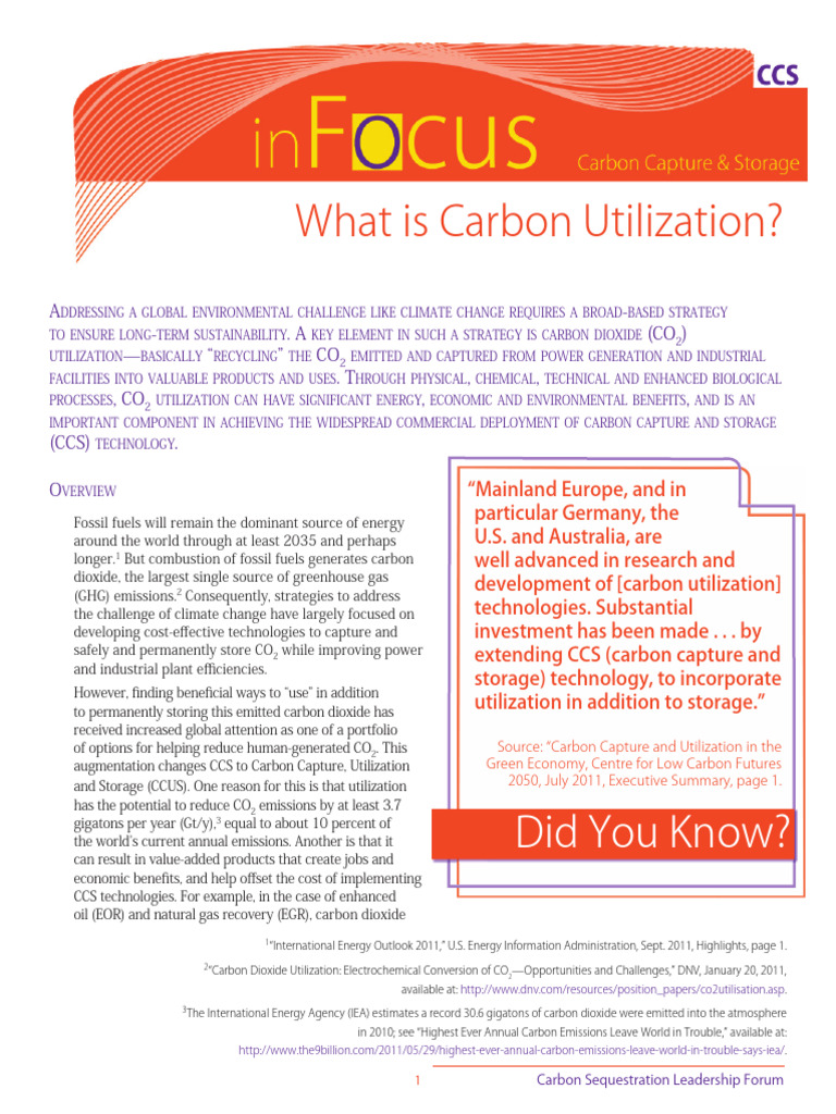 CSLF Infocus Whatiscarbon Utilization | PDF