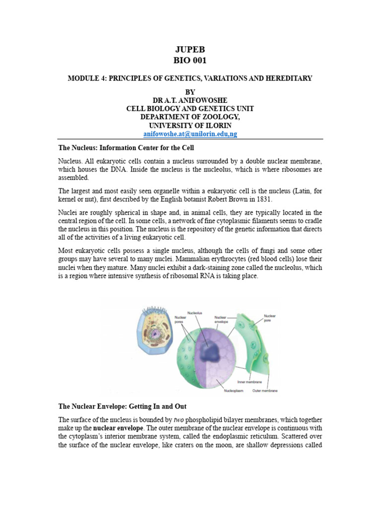 DR Anifowoshe - Principle of Genetics, Hereditary & Variation | PDF | Dominance (Genetics ...