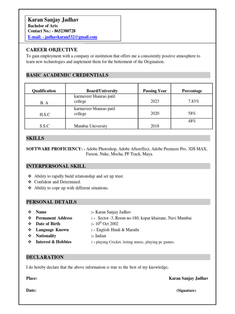 Resume Karan Jadhav Resume | PDF
