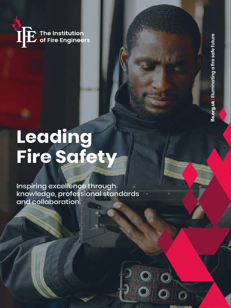 IFE Strategy Document A4 Web | PDF | Engineering | Risk