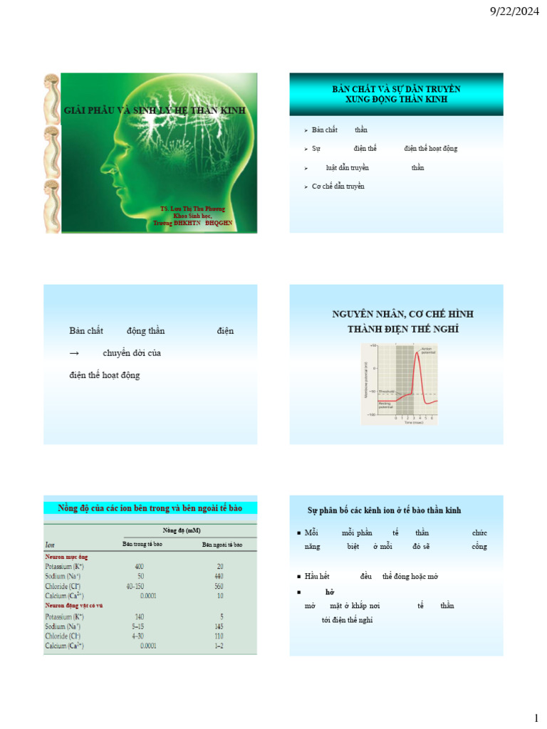 Giai Phau Sinh Ly He Than Kinh - T3,4 | PDF