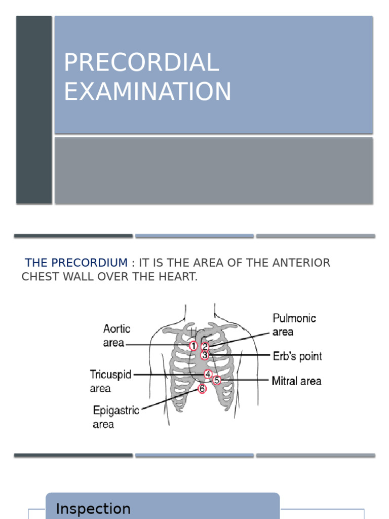 Precordial exam | PDF | Heart | Heart Valve