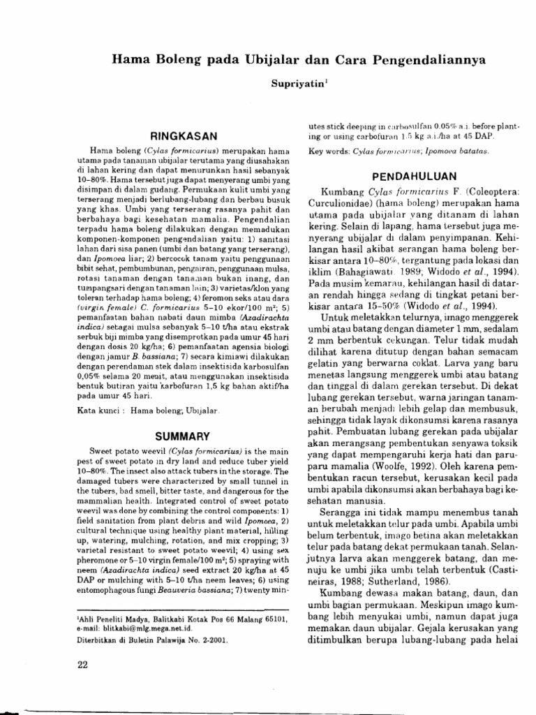 226501-hama-boleng-pada-ubijalar-dan-cara-penge-566fad9a | PDF