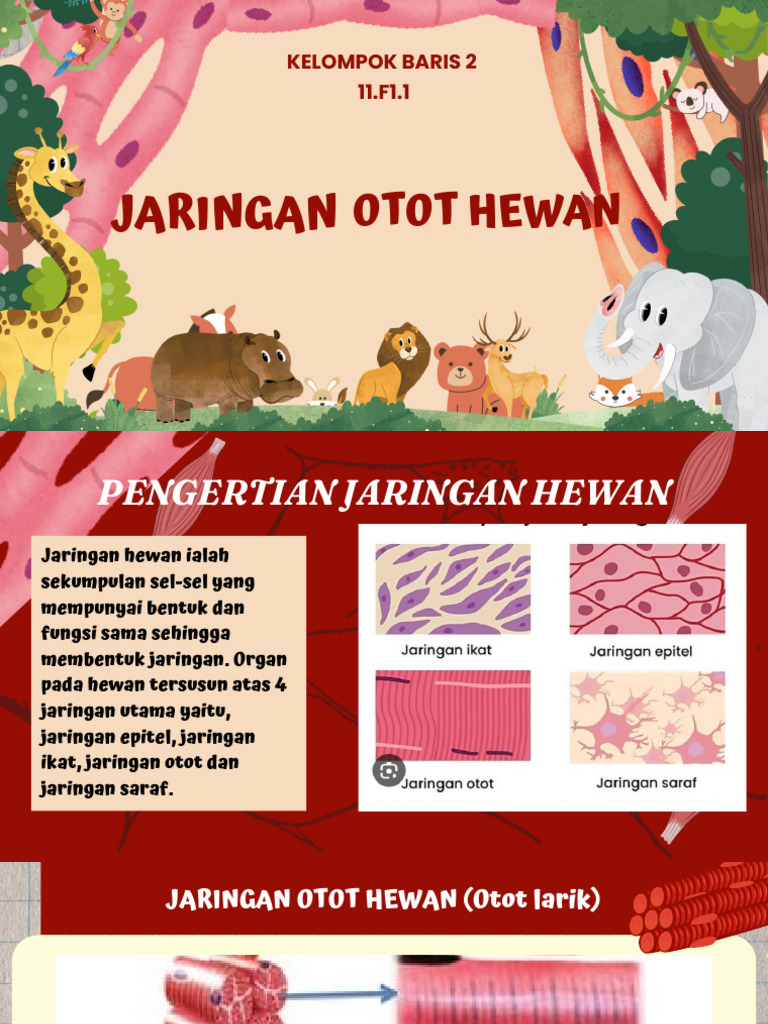 Jaringan Otot - Biologi - Kelompokbaris2 - 20240923 - 134608 - 0000 | PDF