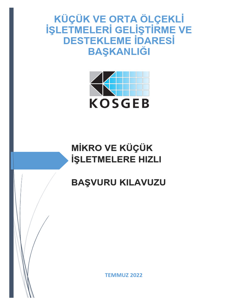Mikro Ve Kucuk Isletmelere Hizli Destek Programi Basvuru Kilavuzu | PDF