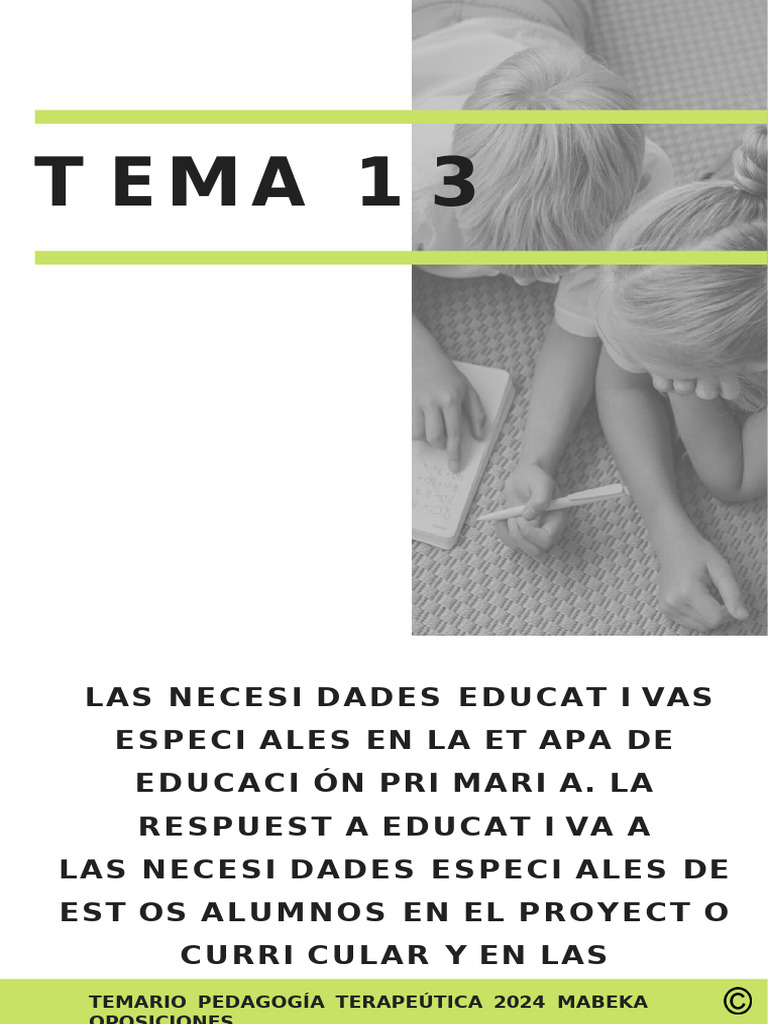 Tema 13. Las Nee en La Etapa de Ep 2024 | PDF | Plan de estudios | Enseñando