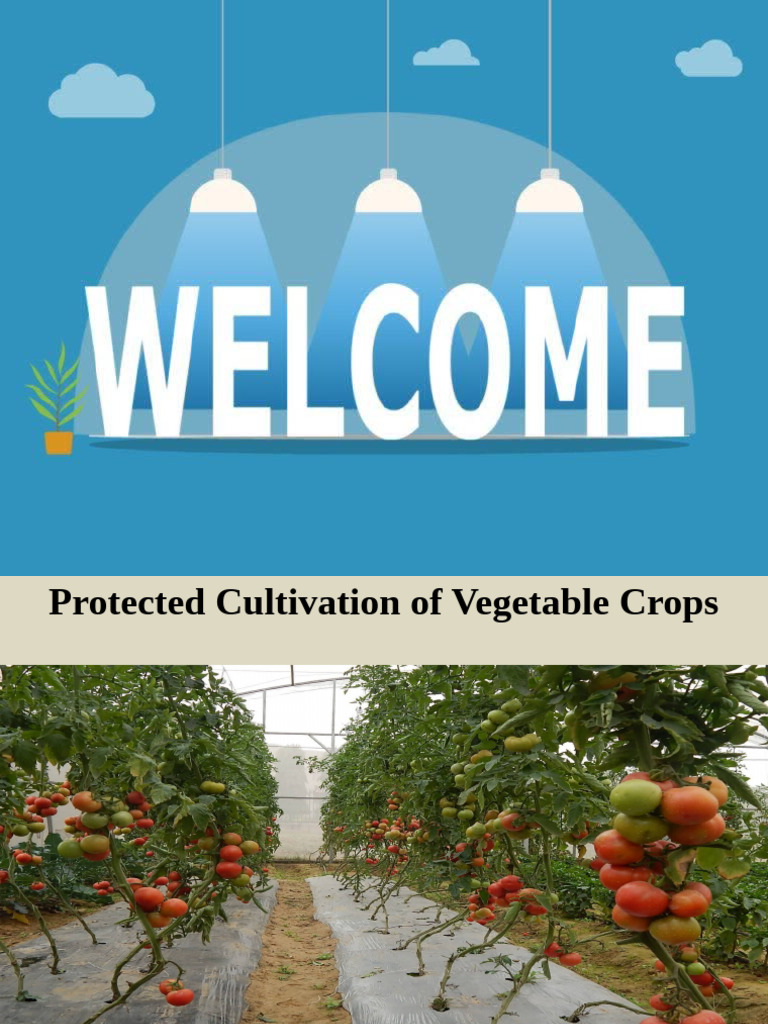 Protected Cultivation of Vegetable Crops | PDF | Agriculture | Horticulture