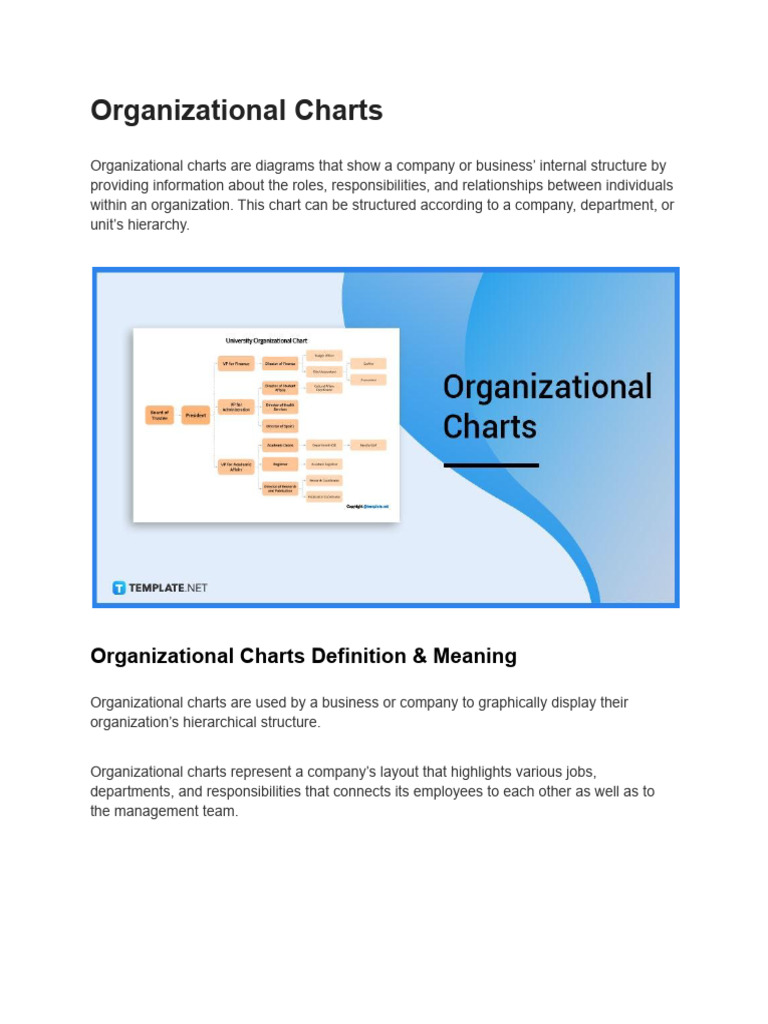 Understanding Organizational Charts | PDF | Business