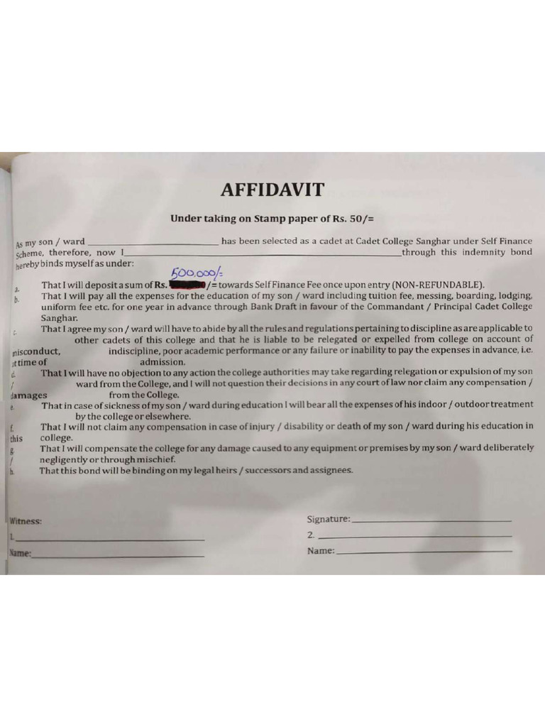 Affidavit | PDF
