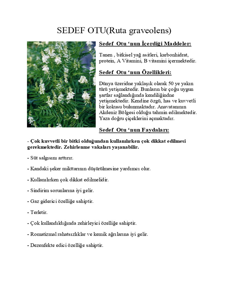 Sedef Otu | PDF