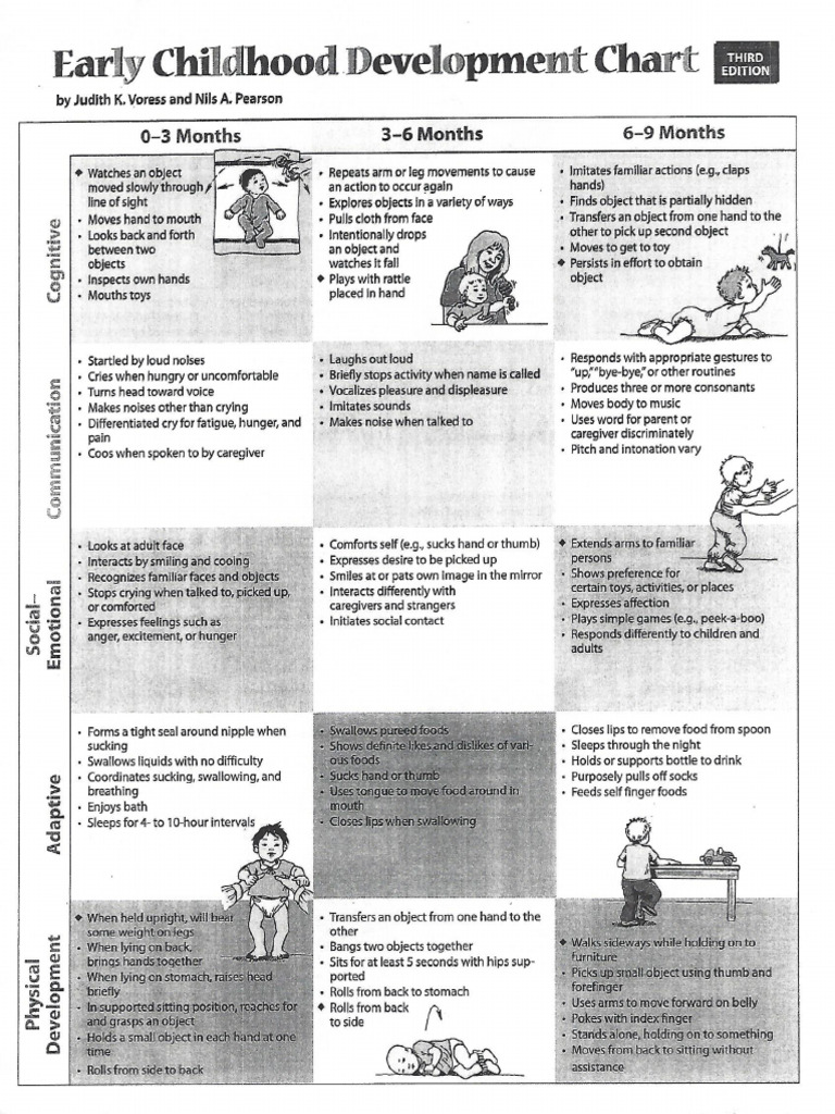 DAYC 3 Early Childhood Development Chart | PDF