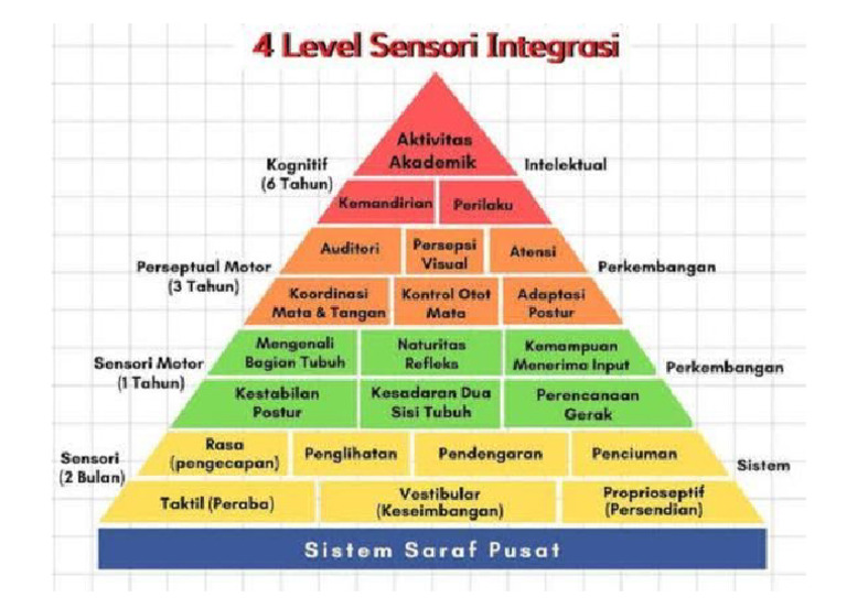 Piramida Perkembangan Akademik | PDF