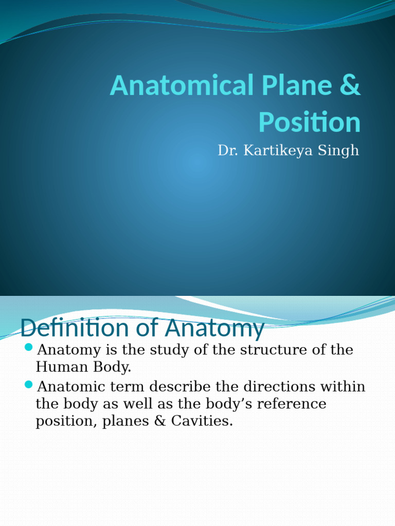 Anatomical Plane & Position | PDF