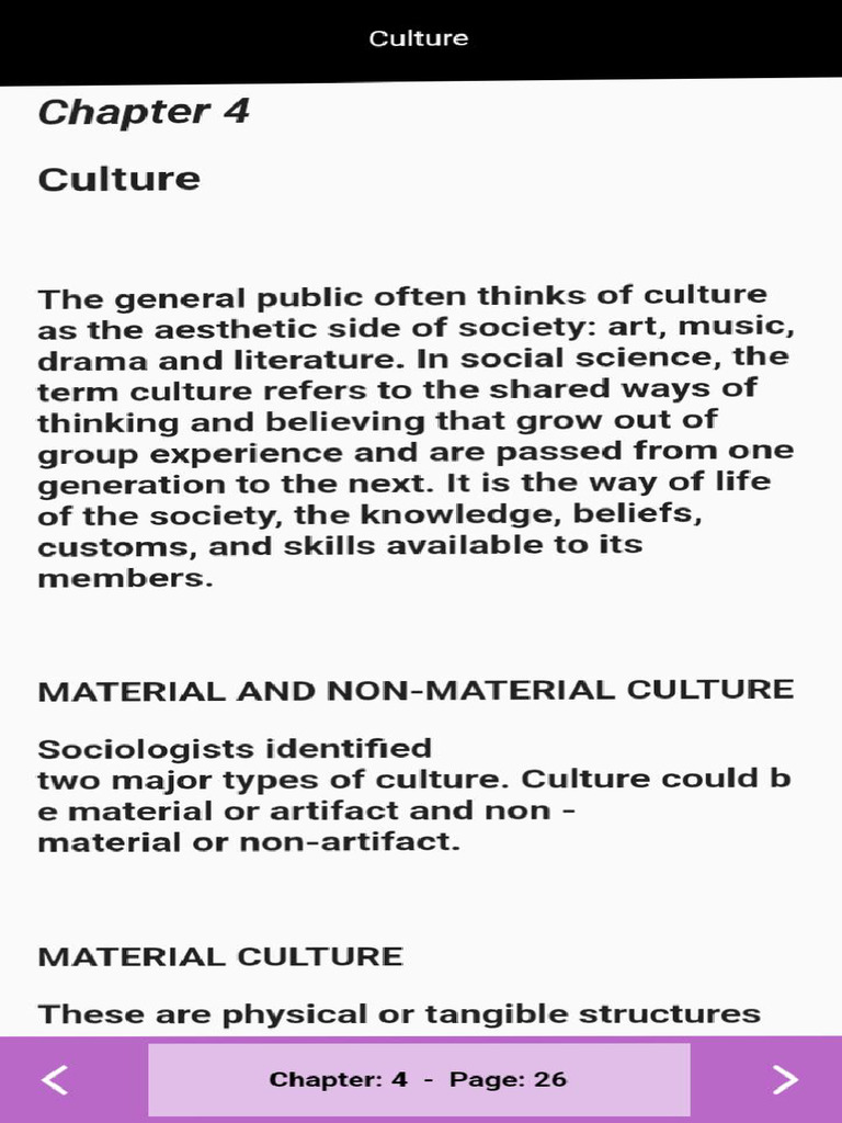 Sociology Culture Chapter 4 | PDF | Socialization | Society