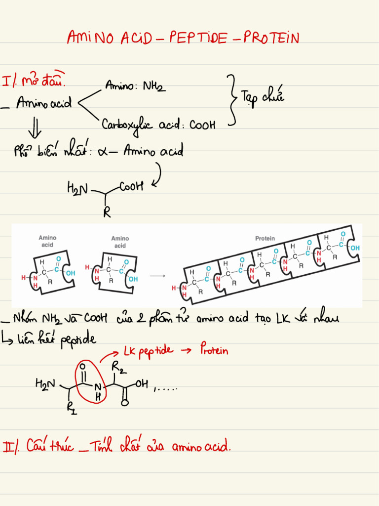 CQT CLK Amino Acid, Peptide | PDF | Biomolecules | Structural Biology