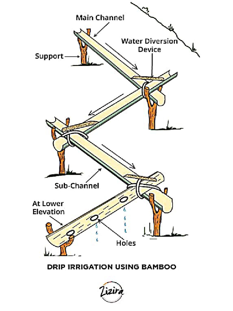 Class 10 Ch-3 Geo Important Diagrams, and Some Important HOTS Questions ...
