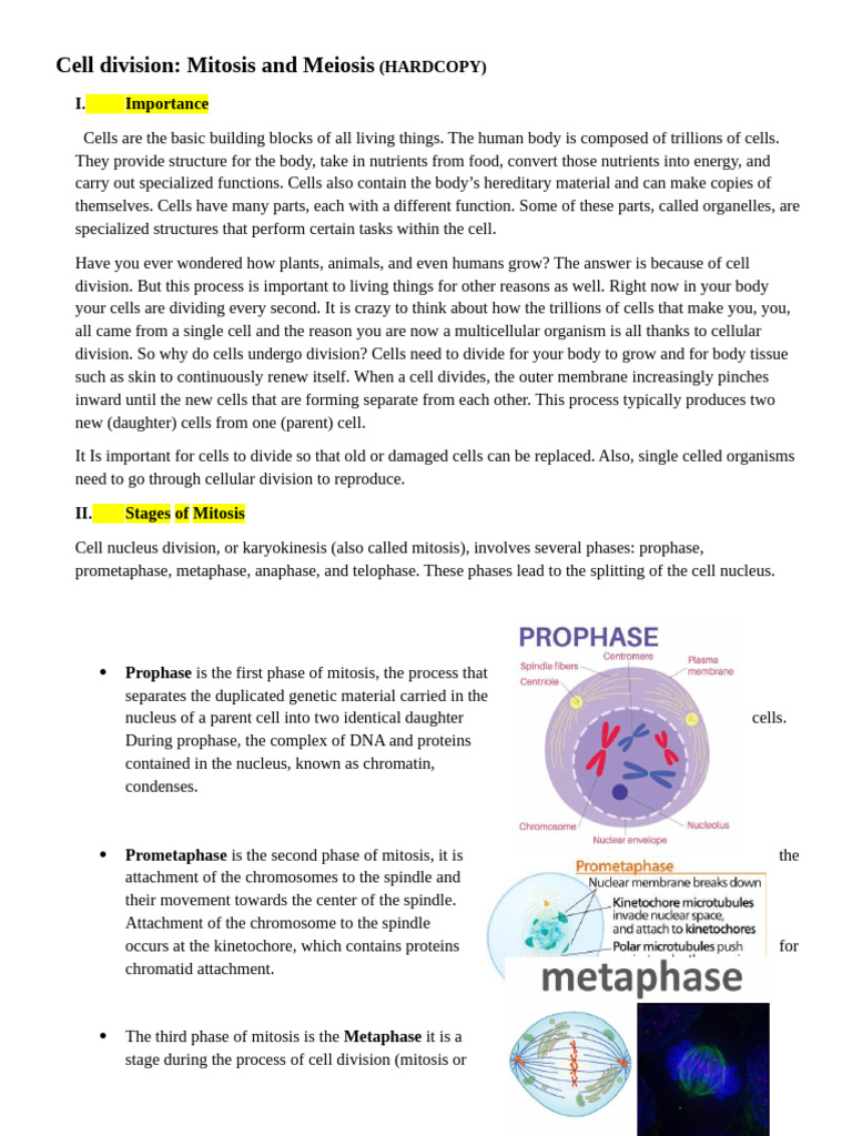 Mitosis and Meiosis Explained | PDF | Meiosis | Mitosis
