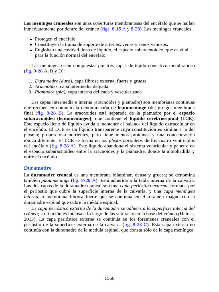 Sist Nerv Encefalo Anatomía | PDF | Cerebro | Cerebelo