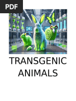 ENVIROPIG | PDF | Genetically Modified Organism | Transgene