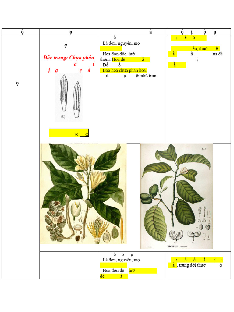 Cã C Há Hã Nh Pdf