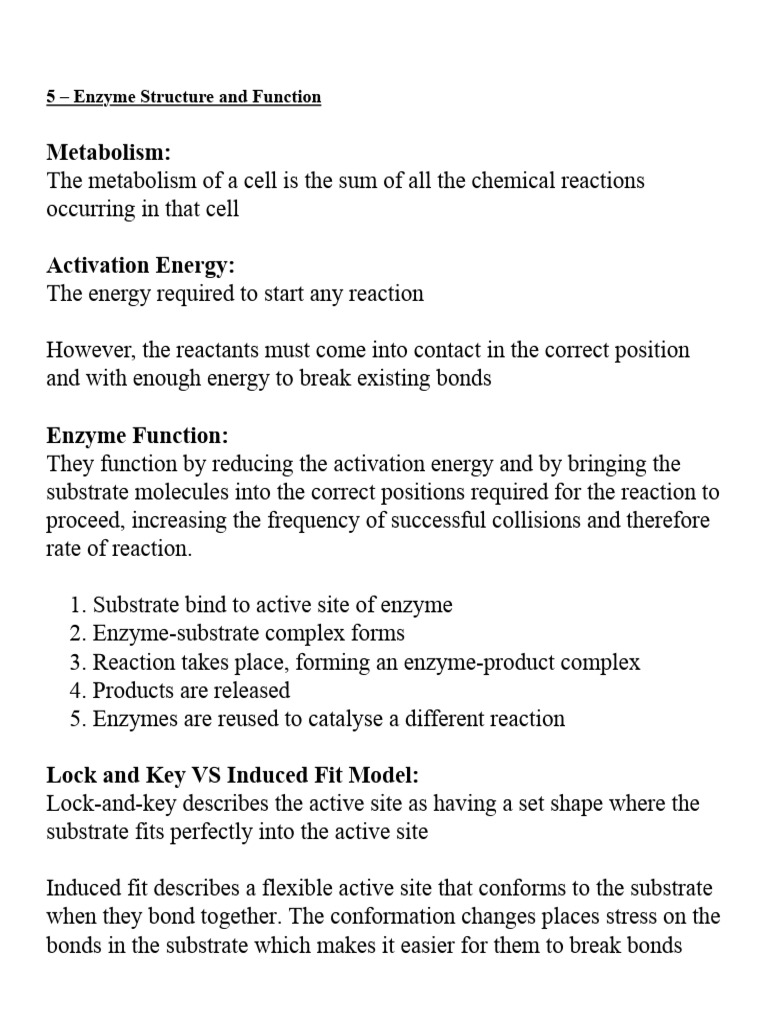 Enzyme Function and Reaction Dynamics | PDF